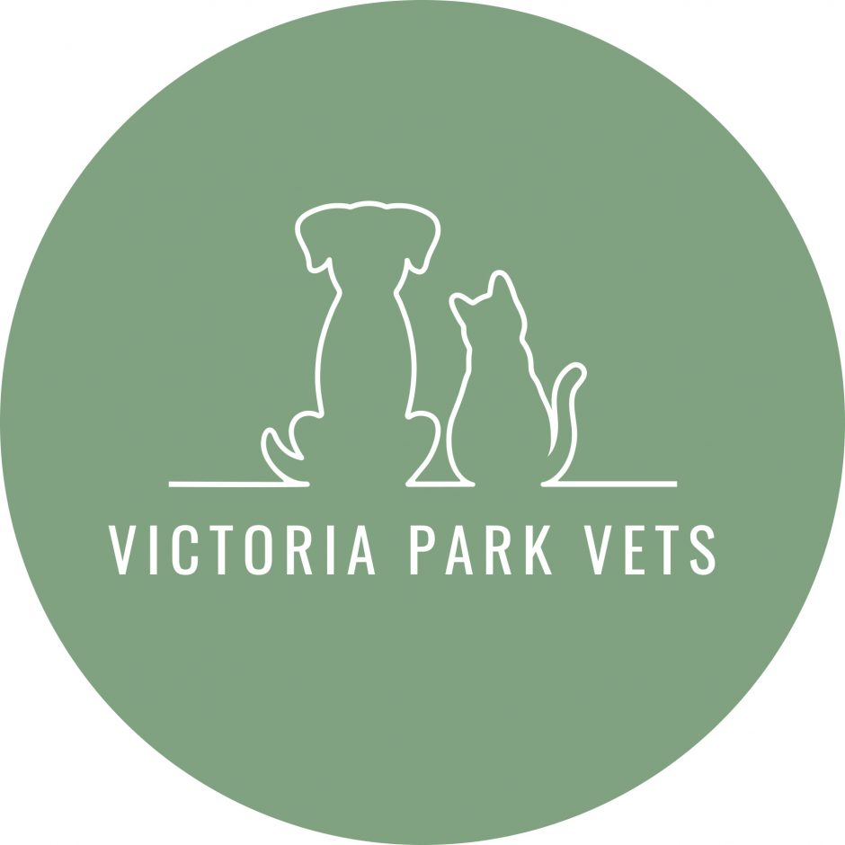 Repeat Prescriptions – Victoria Park Vets | Independent, family run ...
